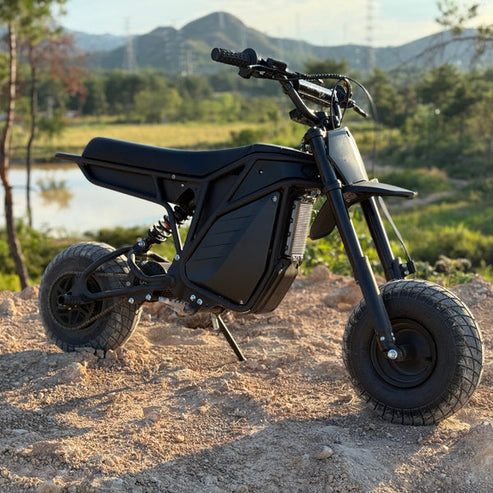 The Rizzler Electric Mini Bike by Electro & Company – REVRides