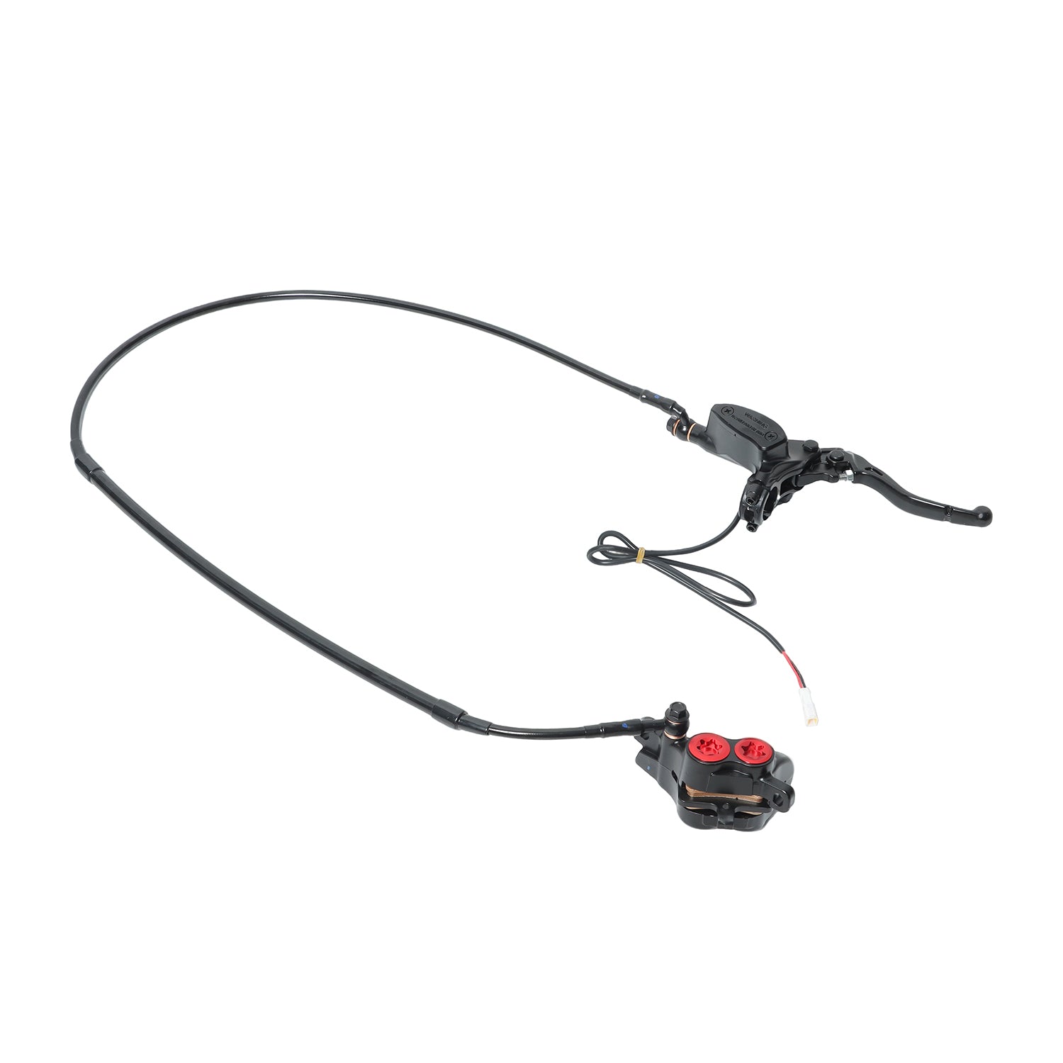 Altis Powersports | Best Electric Dirt Bike of 2025 – REVRides